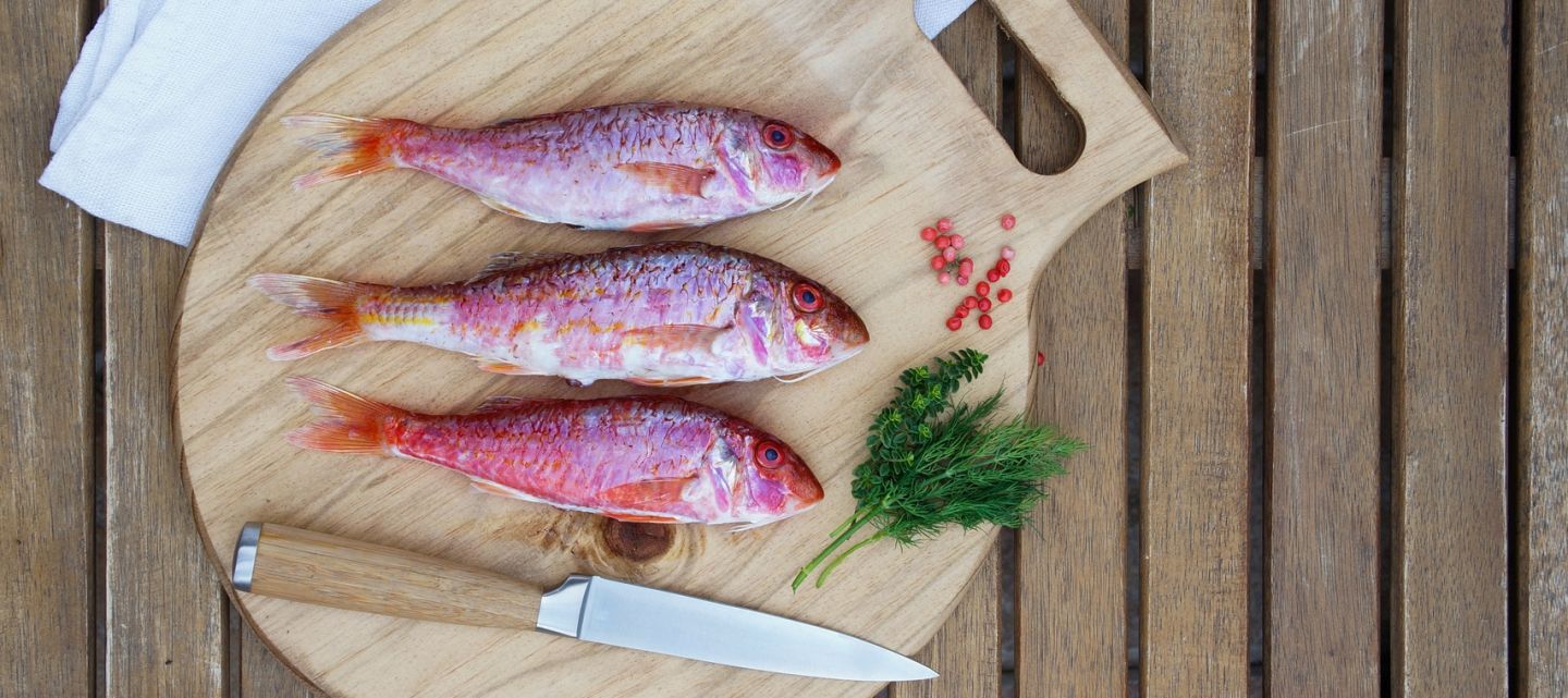 Les poissons de roche : découvrez le rouget