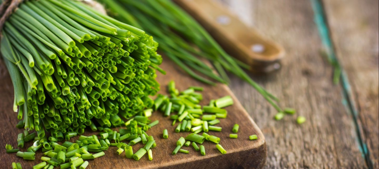 Découvrez la ciboulette sur Likeachef. Epices, herbes et condiments