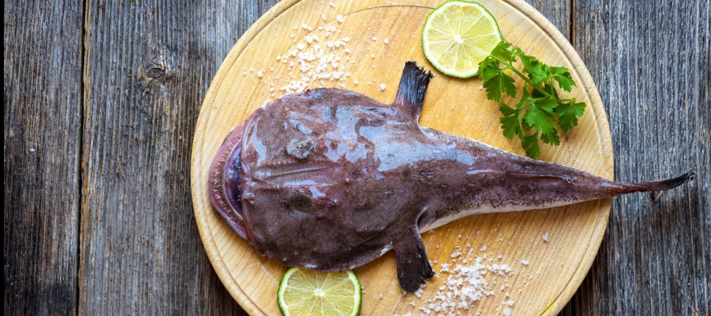 Les poissons d'eau douce : la lotte