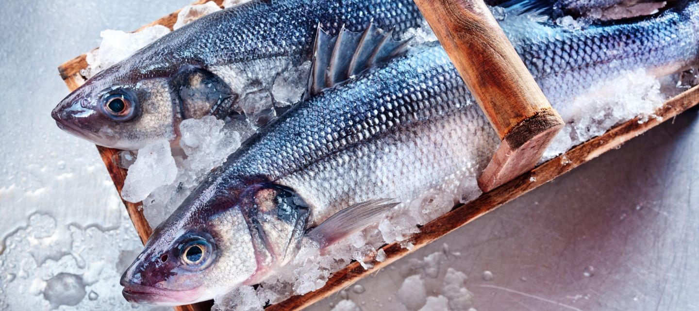 Les poissons ronds : le bar ou loup