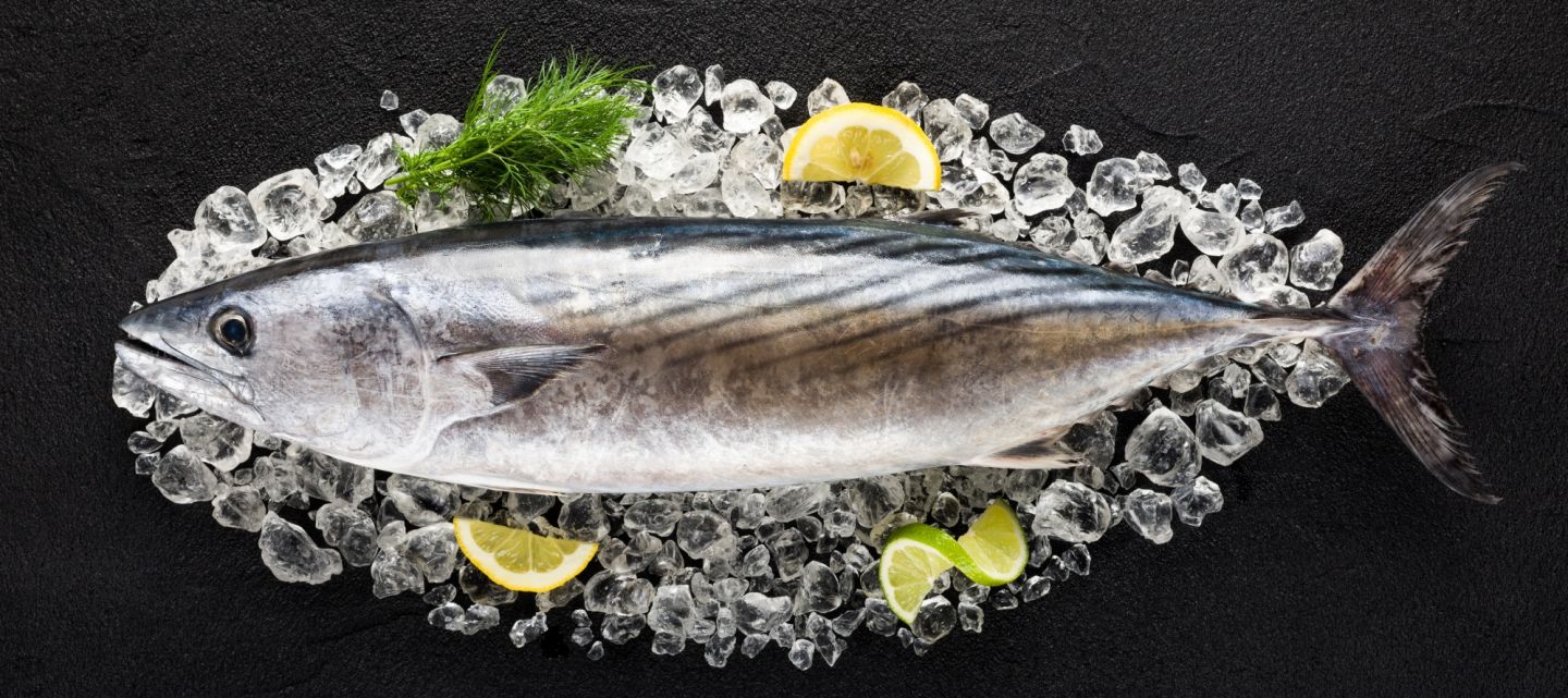 Les recettes de chefs avec du thon